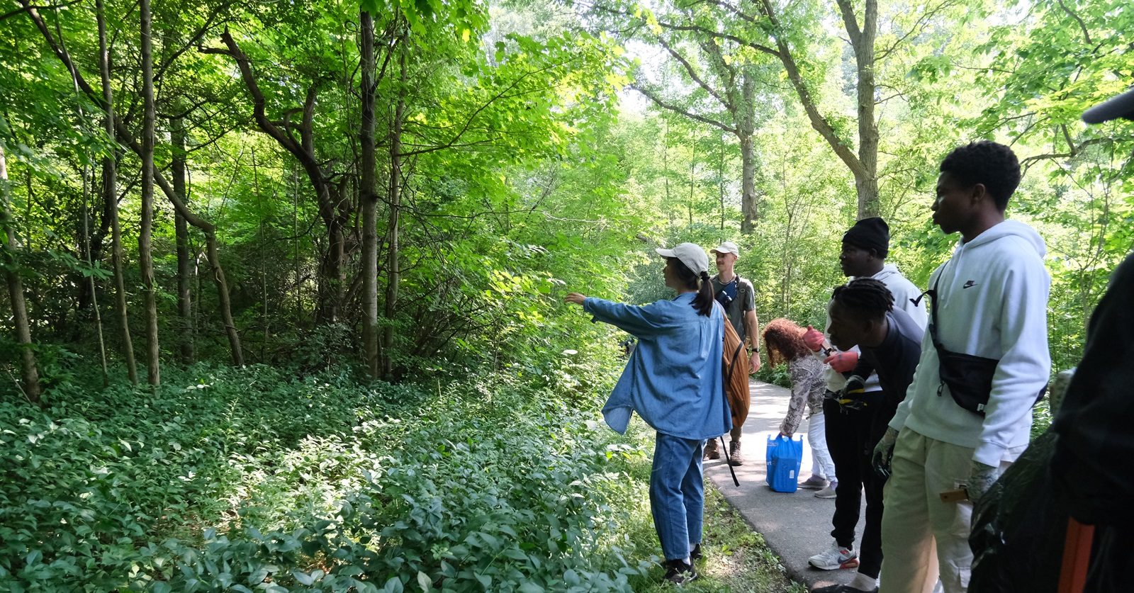 Strengthening Parks and Community Connections in Your Ward - Park People