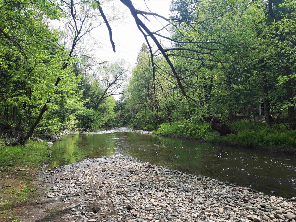 Ravines and Resilience – Toronto’s Ravines and Climate Change - Park People
