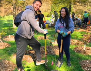 Community Tree Planting in Dean Plummer Park - Park People