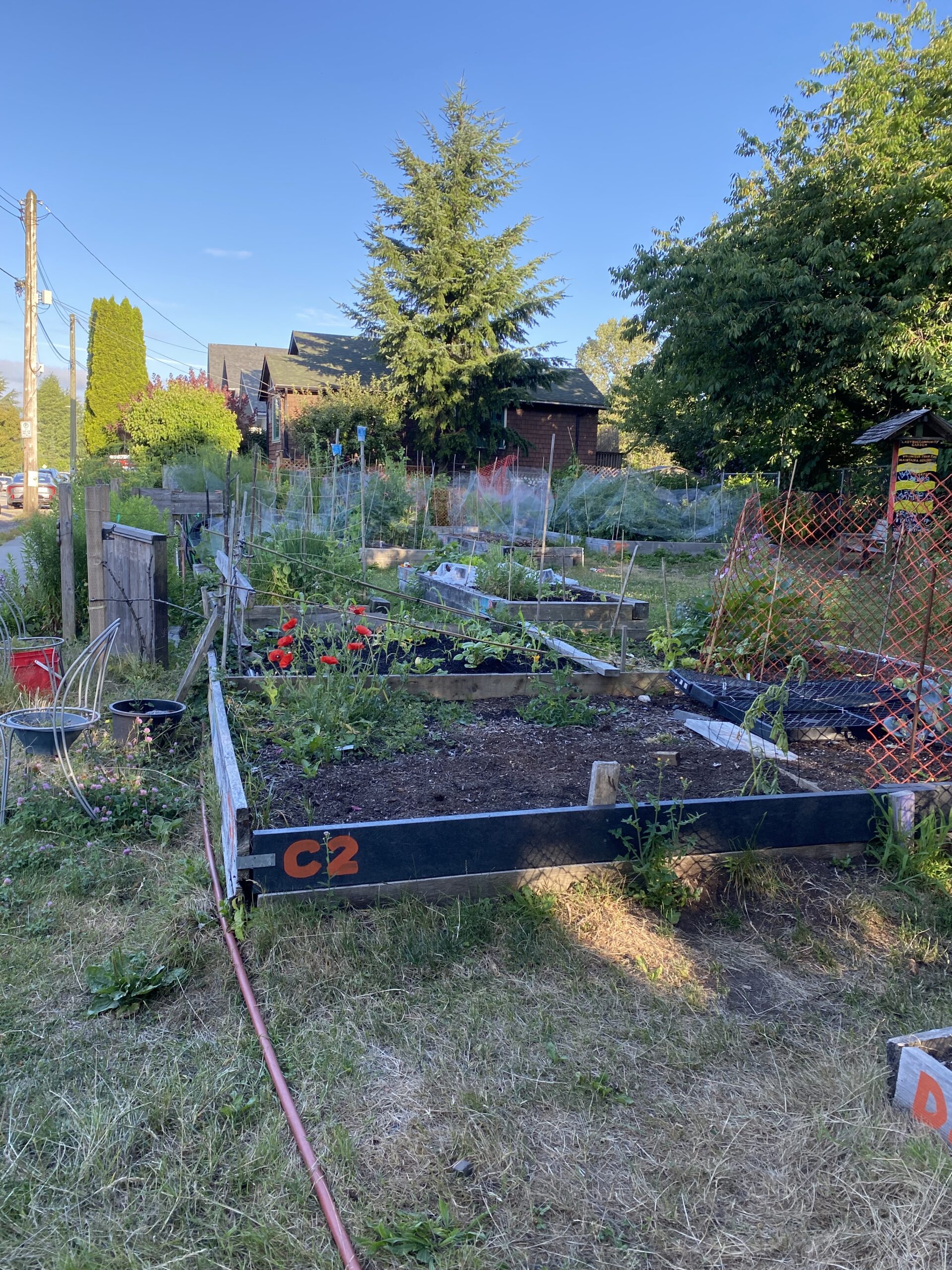 Art and Potluck Ladybug Community Garden - Park People