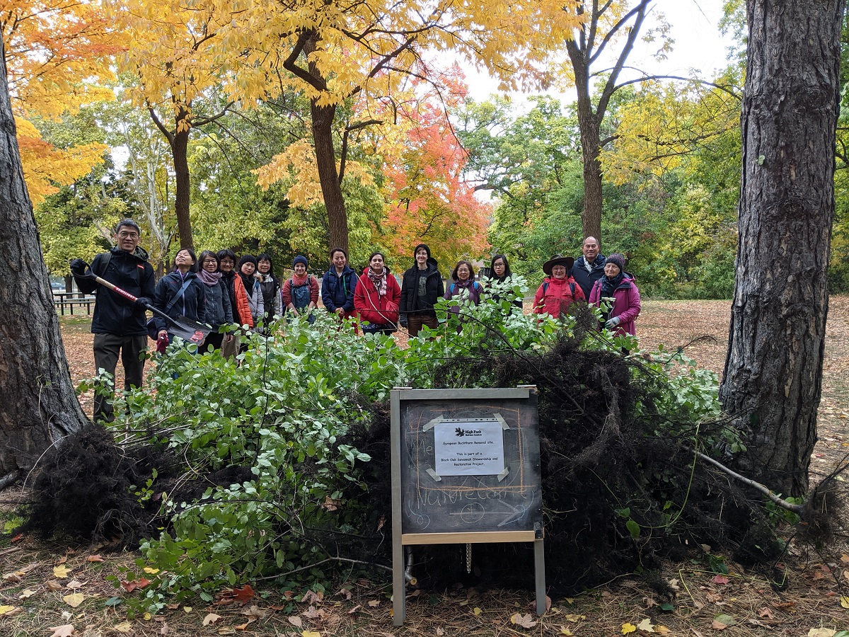 Infographic: Cornerstone Parks Shared Impact