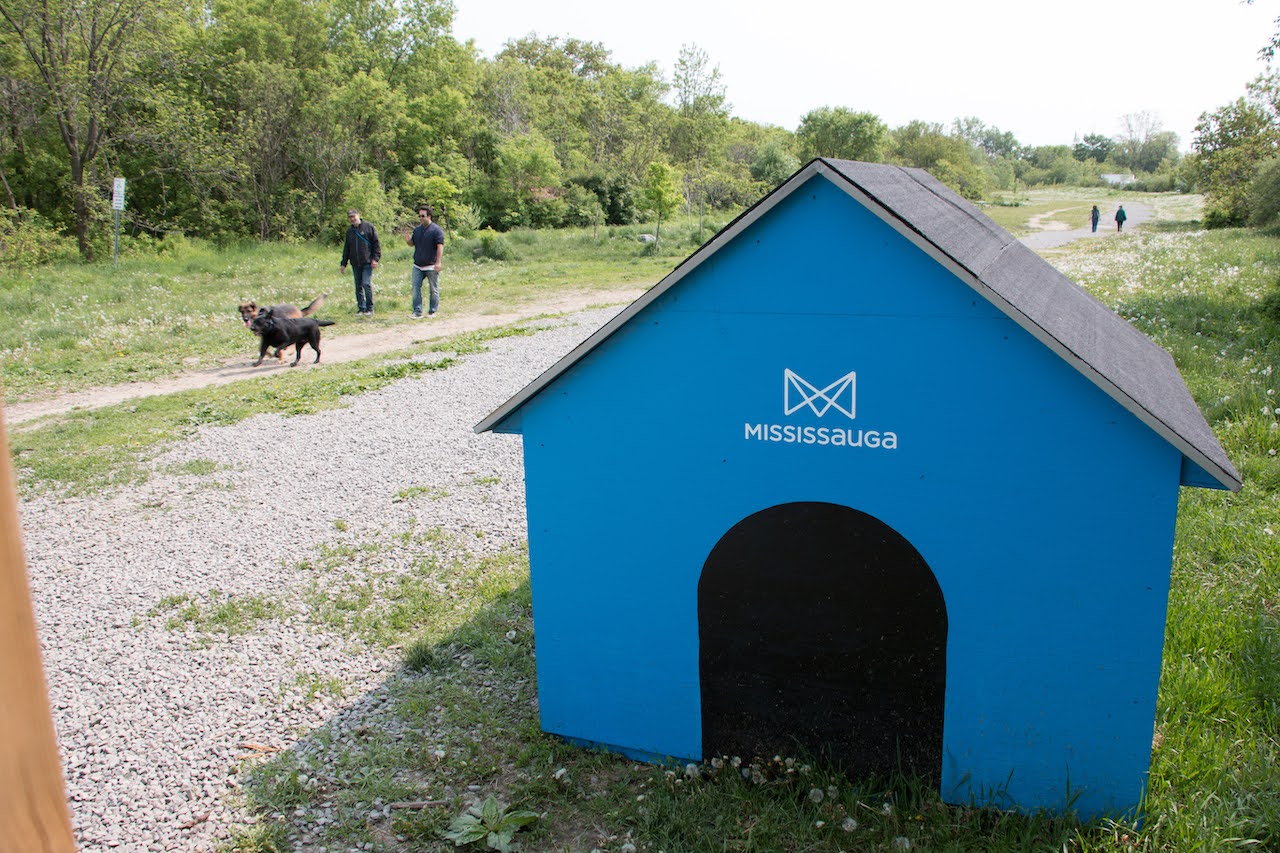 Take Me Out to the Dog Park